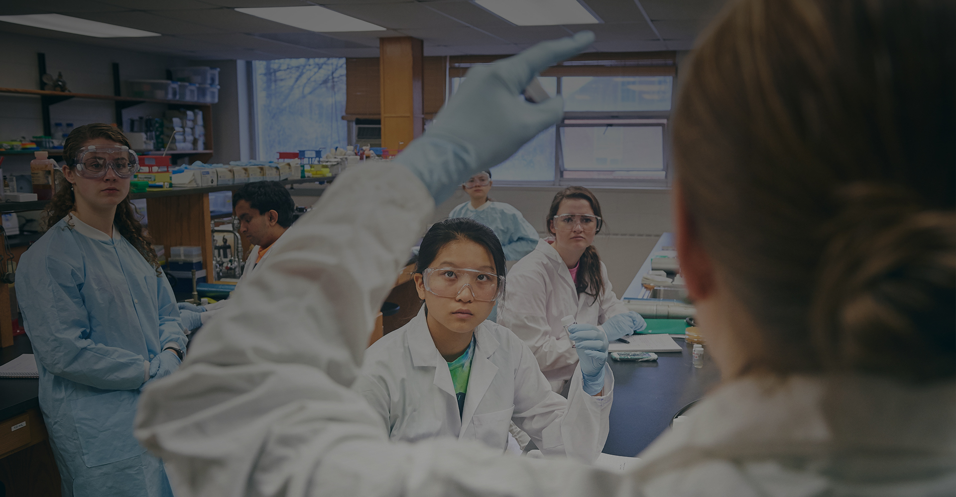 Undergraduate Education | Biological Sciences Program